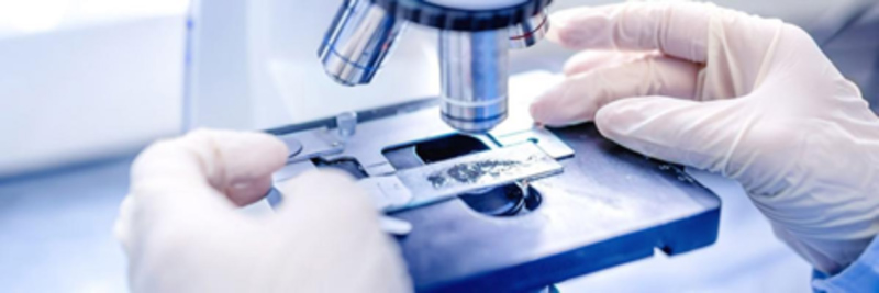 Anatomopatológico – Argos Patologia